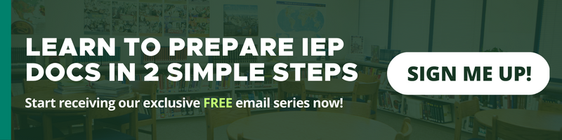 Prepare IEP reports before translation for productivity gains